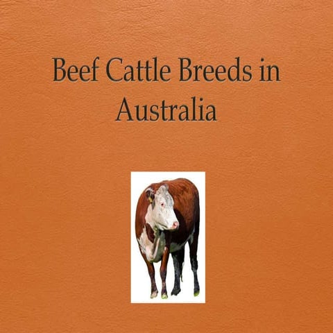 Beef cattle breeds | PPTX | Dogs | Pets