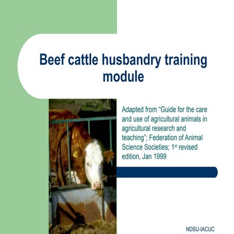 beef_cattle_husbandryreadytoload (4).ppt