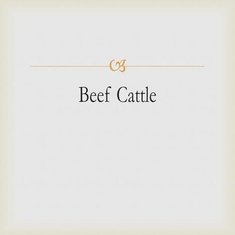 BEEF CATTLE PRODUCTION | PDF
