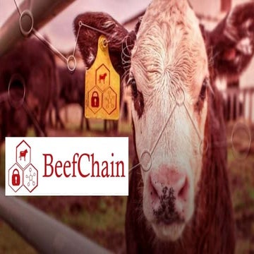 beefchain Global population 9billion by 2050 Annual demand for meat ...