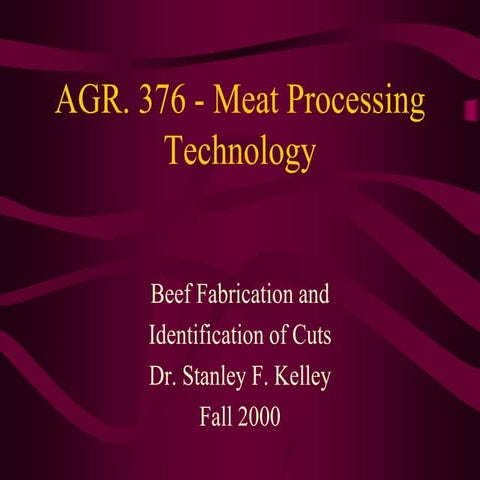 Beef Production | PPT