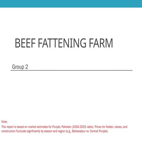 Beef Fattening FarmFeasibilty report.pptx