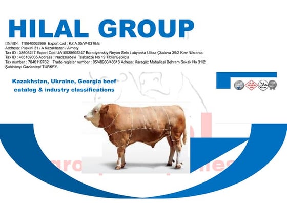 Primary and secondary cuts of meat | PPTX