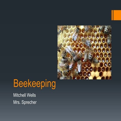 Beekeeping | PPTX