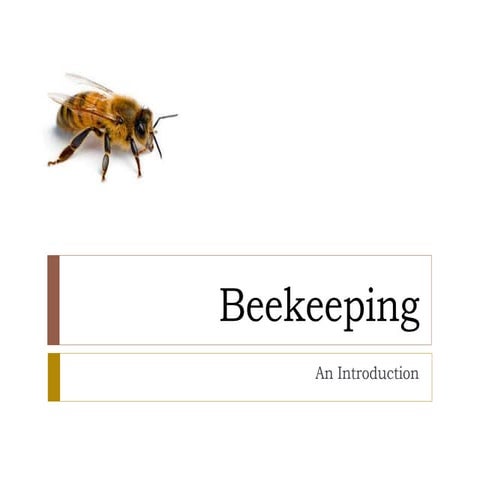 Beekeeping an introduction | PPTX