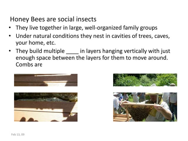 Method of non conventional farming systems | DOCX