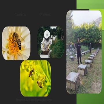 Beekeeping for Begginners in simple _.pptx