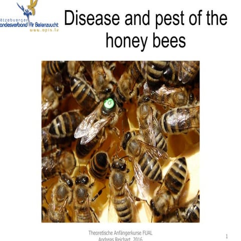 Beekeeping theory disease and pests of honey bee | PDF