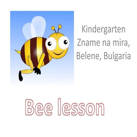 Bee lesson | PPTX