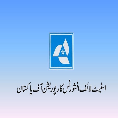 State Life Insurance Presentation | PPT