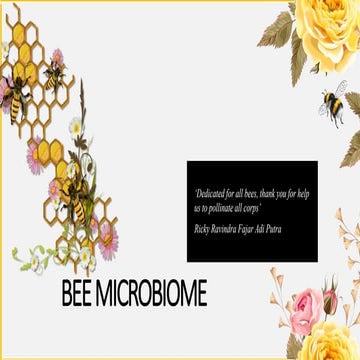 Bee microbiome dedication | PPT