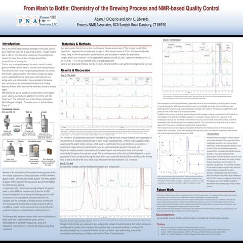 Beer Poster | PDF