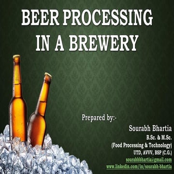 Beer Processing in a Brewery | PDF