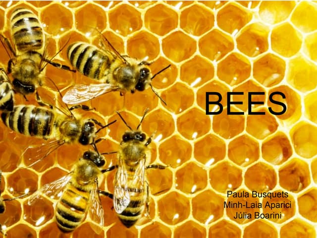 The Fascinating World of Honeybees: Exploring the Lives, Contributions ...