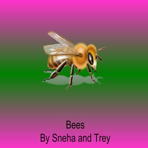 Bees by sneha and trey | PPT | Beekeeping | Hobbies & Interests