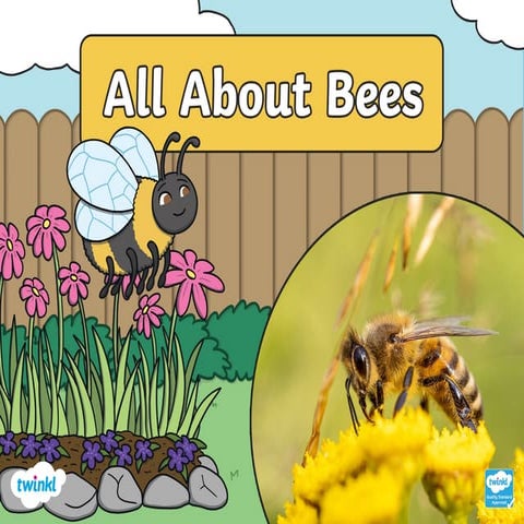 Bees vocabulary | PPTX