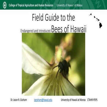 Field Guide to the Endangered and Introduced Bees of Hawaii | PPT