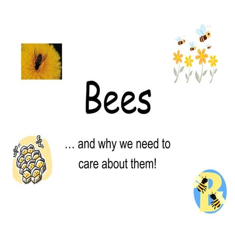 Bees powerpoint all about bees for 1.1.ppt