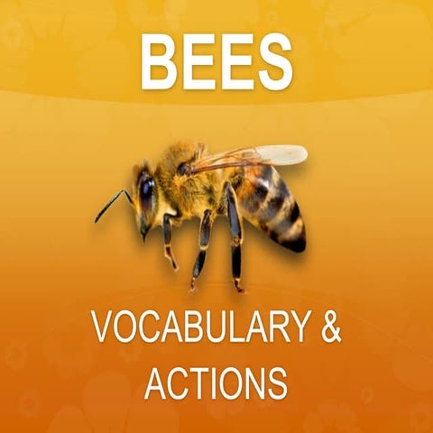 Bees vocabulary 1(1) | PPTX