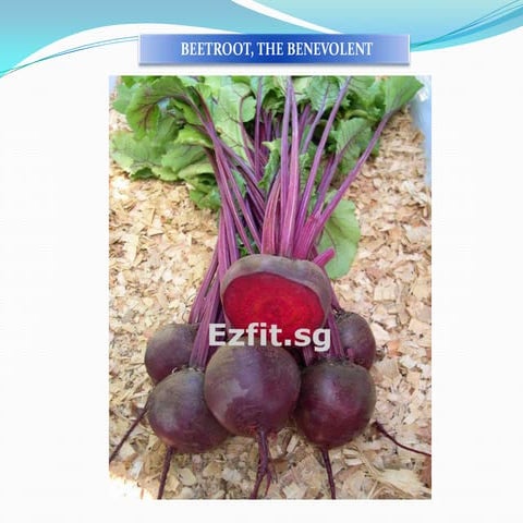BEETROOT, THE BENEVOLENT | PPTX