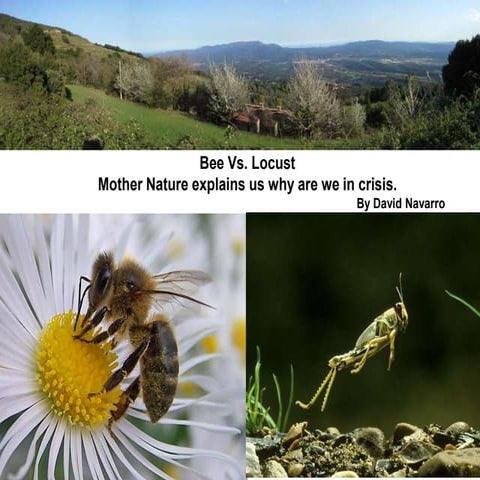 Bee vs Locust Mother Nature explains us why are we in crisis | PPTX