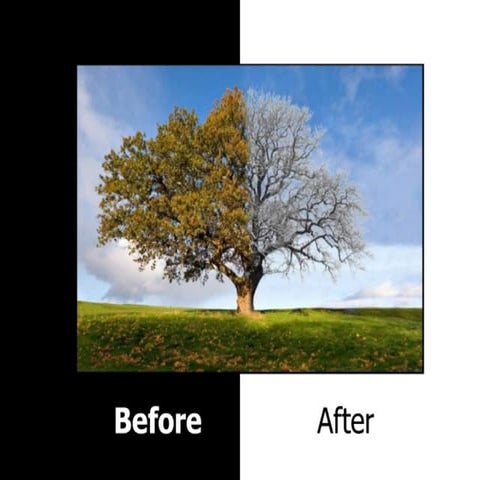 before & after photoshop | PDF