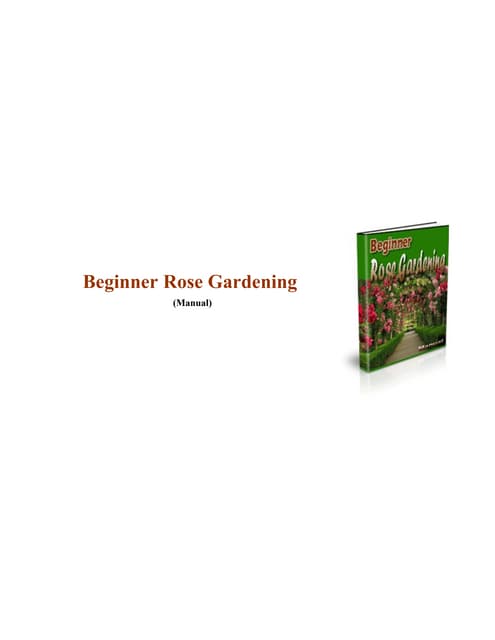 Rose Information in English-Rose Information for Project-Rose ...