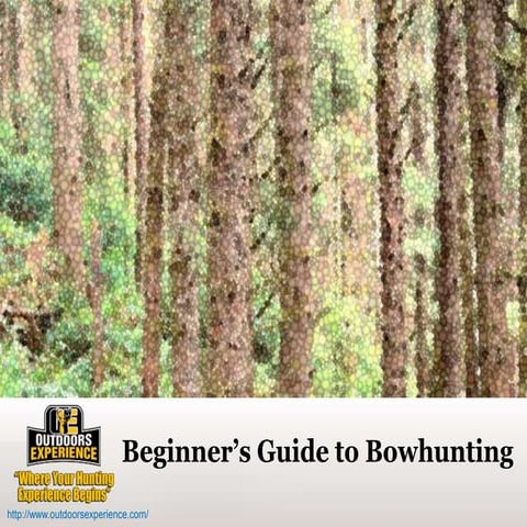 Beginners Bow Hunting | PPTX