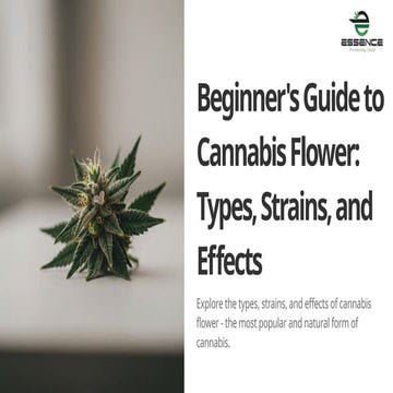 Beginner's Guide to Cannabis Flower Types, Strains, and Effects | PPTX