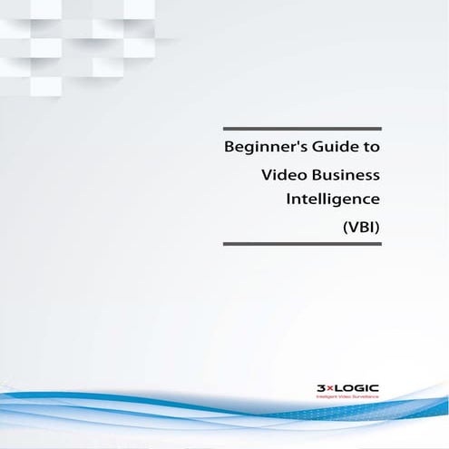 Beginners Guide to VBI | PDF