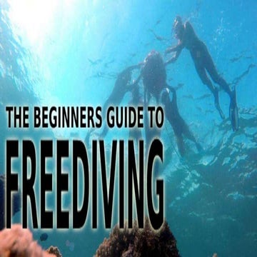 beginners intro to freediving | PPTX