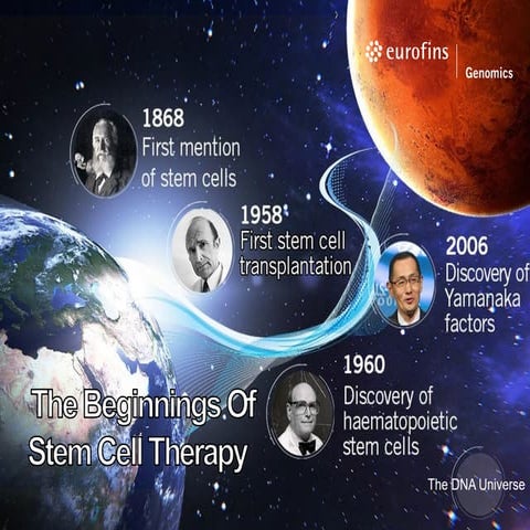 Beginnings Of Stem Cell Therapy | PPT