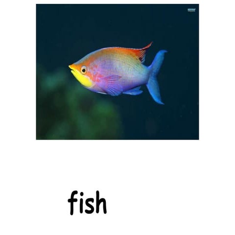 Begin with f | PPTX