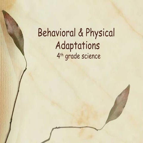 Behavioral & physical adaptations | PPT