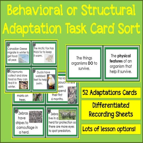Behavioral vs Physical Cards.1.pdf