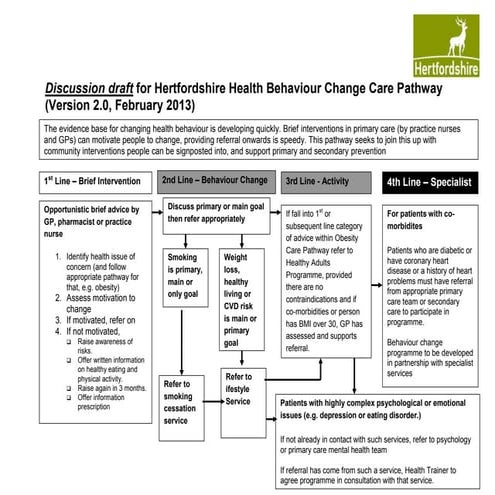 Behaviour change and lifestyle pathway | DOCX | Medical Health