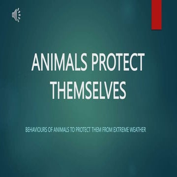 BEHAVIOURS OF ANIMALS TO PROTECT THEM FROM EXTREME WEATHER - AHMAD ...