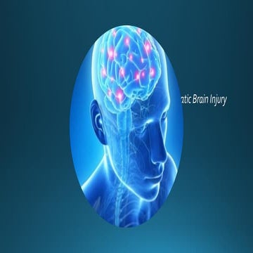 Behind mTBI Conference | PPT