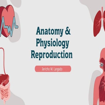 Human Reproductive System for grade 7 science | PDF