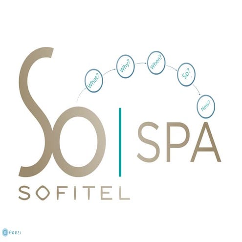 Spa Revenue Management | PDF