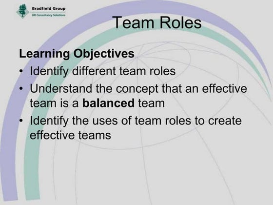 Belbin team role descriptions overview official | PDF