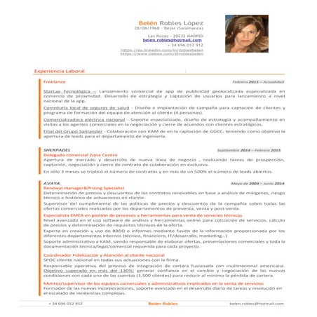 Curriculum Jose Javier Agote | PDF