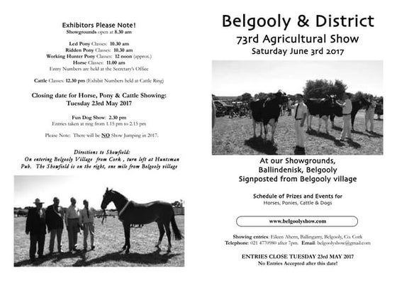 Fun dog show Belgooly | PDF