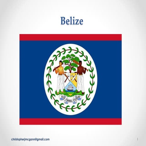 Belize Economy and Financial System | PPTX