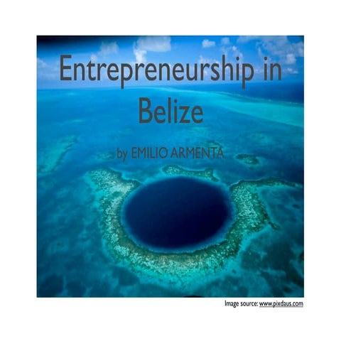 Entrepreneurship in Belize | PDF