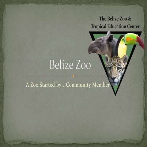 Belize zoo final | PPTX