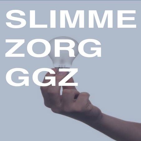 BelHayes Slimme Zorg | PDF