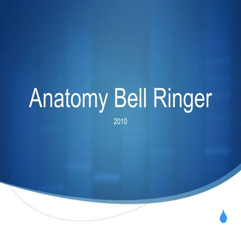 Bell ringer slideshow | PPTX