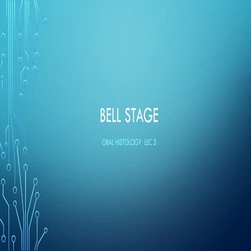 Bell stage the last stage of tooth bud formation | PPTX