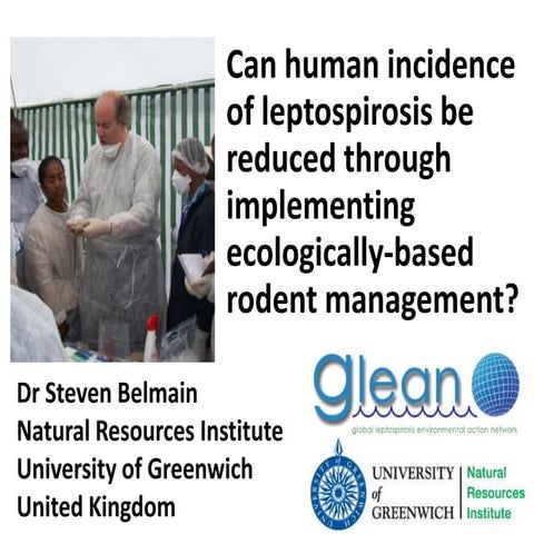 Can human incidence of leptospirosis be reduced through implementing ...